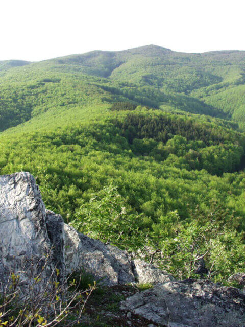 Slavonie, région croate | Croatie Tourisme